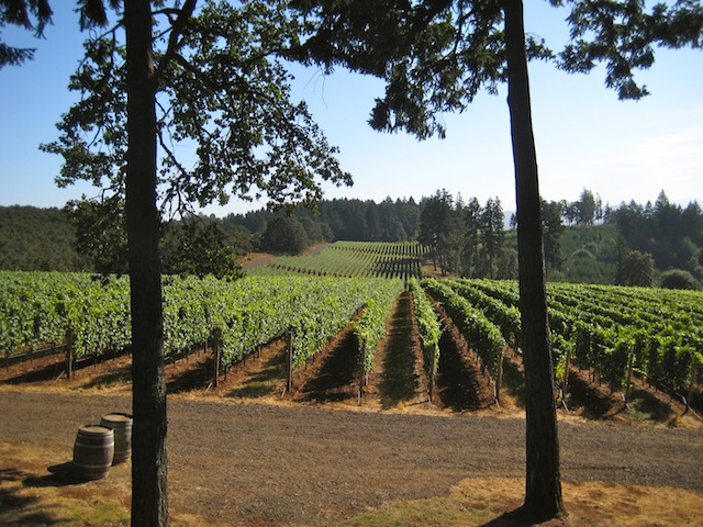 Dayton, Oregon | About Dayton